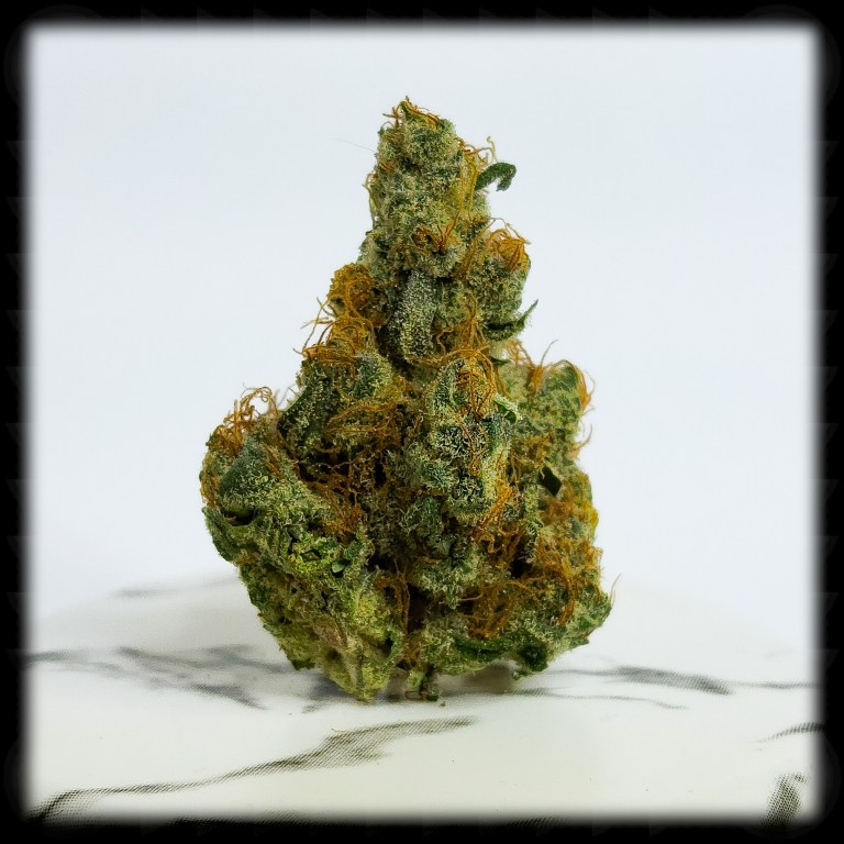 420 All Month: Funk Mountain – Stoned Coast