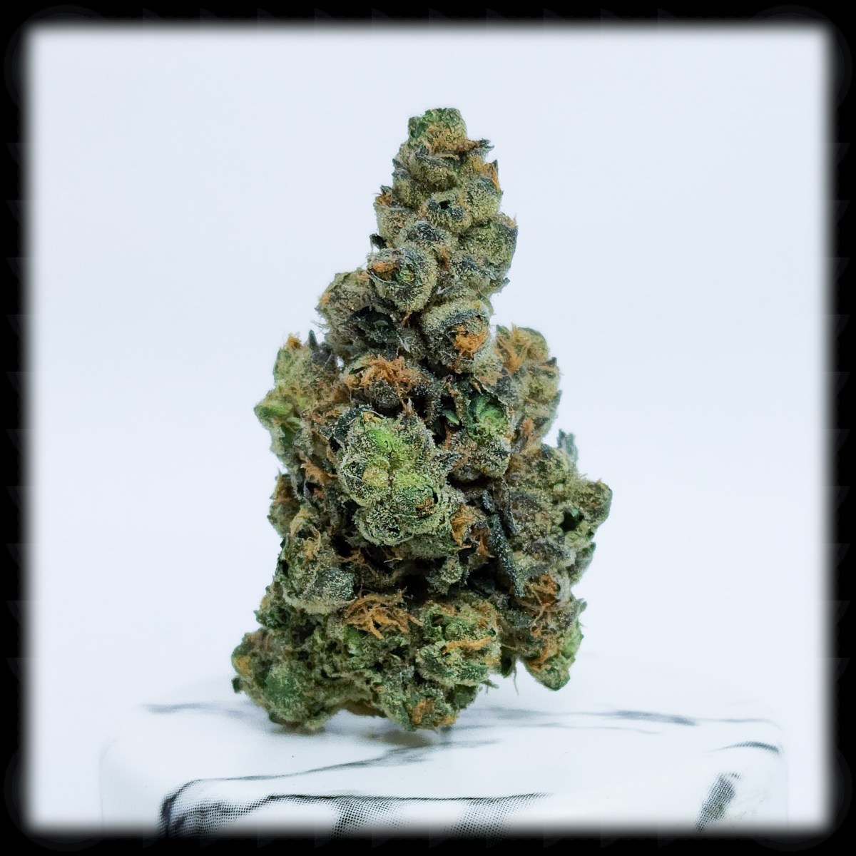 420 All Month: Mountain Wizard – Stoned Coast