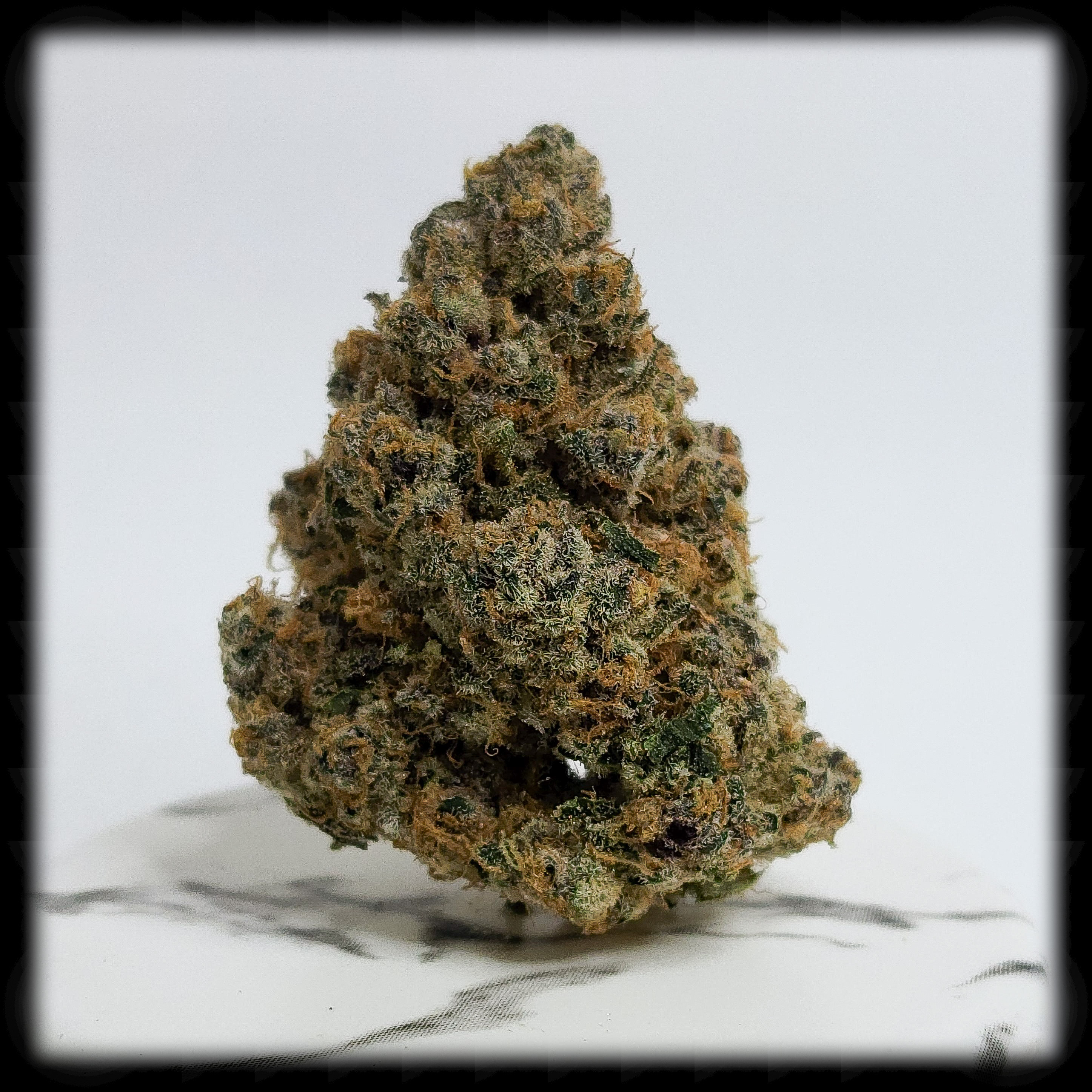 420 All Month: Superboof, and That’s a Wrap on 420 All Month – Stoned Coast