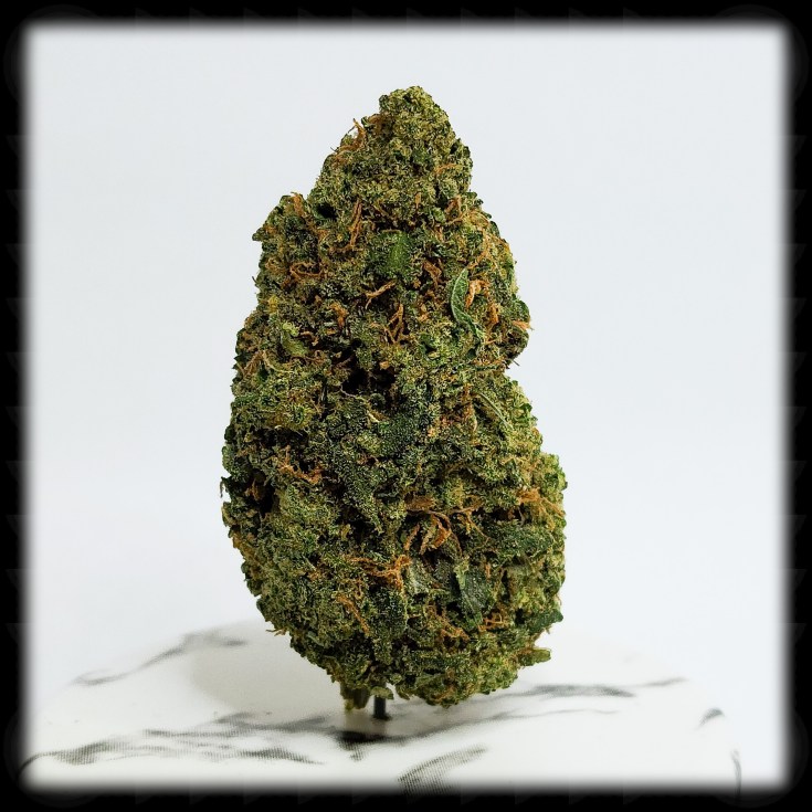 420 All Month: Funk Mountain – Stoned Coast