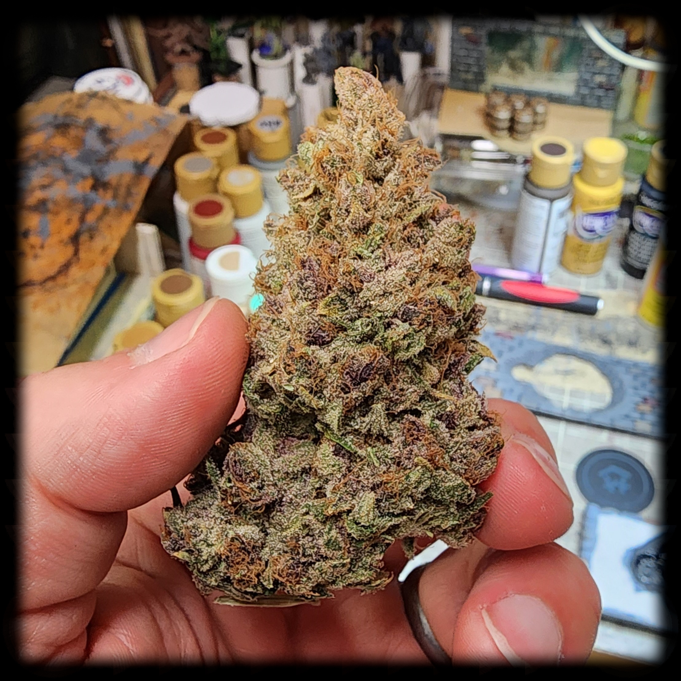 Strawberry Grapefruit Banana: The Flower, The Cartridge, and The ...