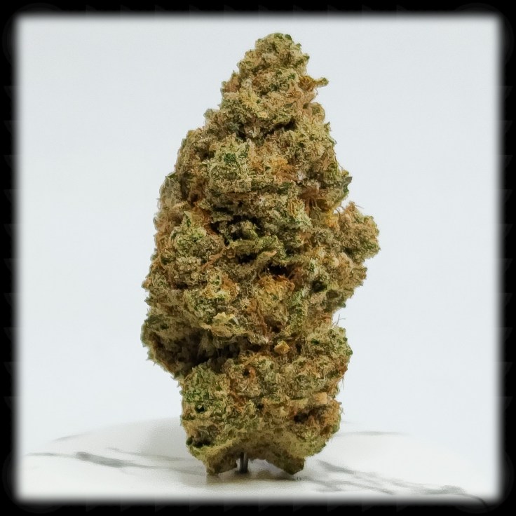 Garlic Butter, A Tasty Snack Right Before Bed – Stoned Coast