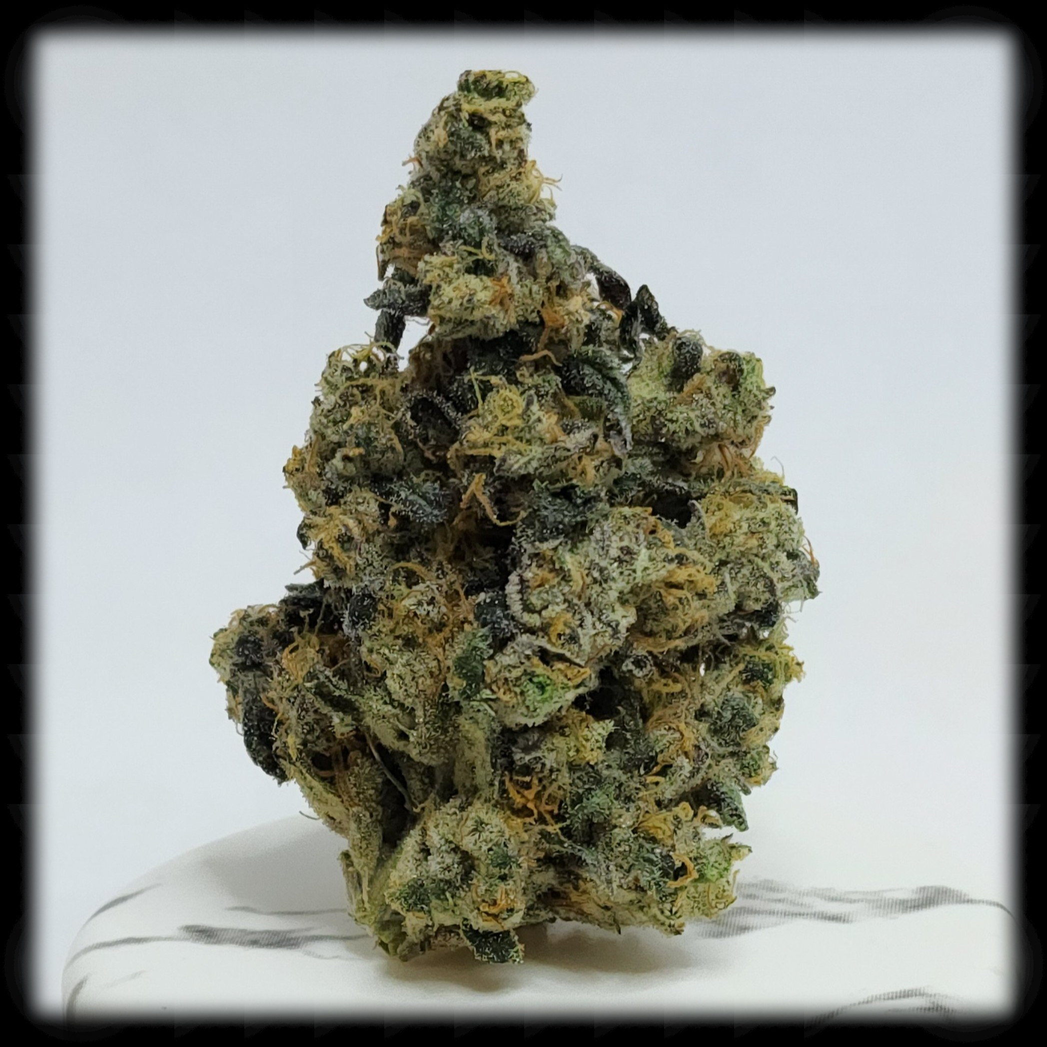 Gas Face, I Preposterously Spose it’s Awesome – Stoned Coast