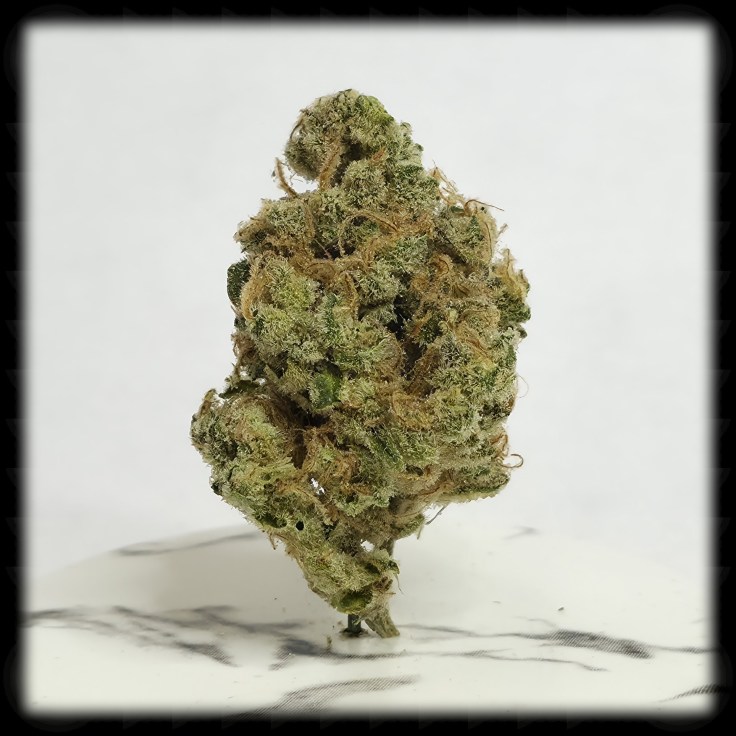 420 All Month: Funk Mountain – Stoned Coast